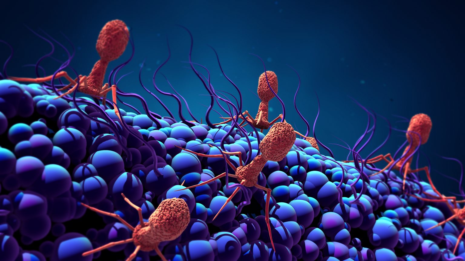 Bacteriophages & Microbiota: On the Way to a Medical Revolution ...